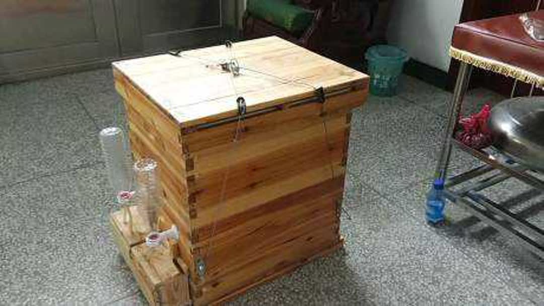 蜜蜂养殖,我们一起学养蜂(蜂箱的改造)