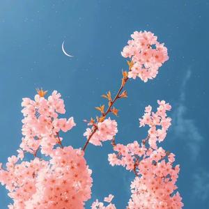 村花小朵拉 