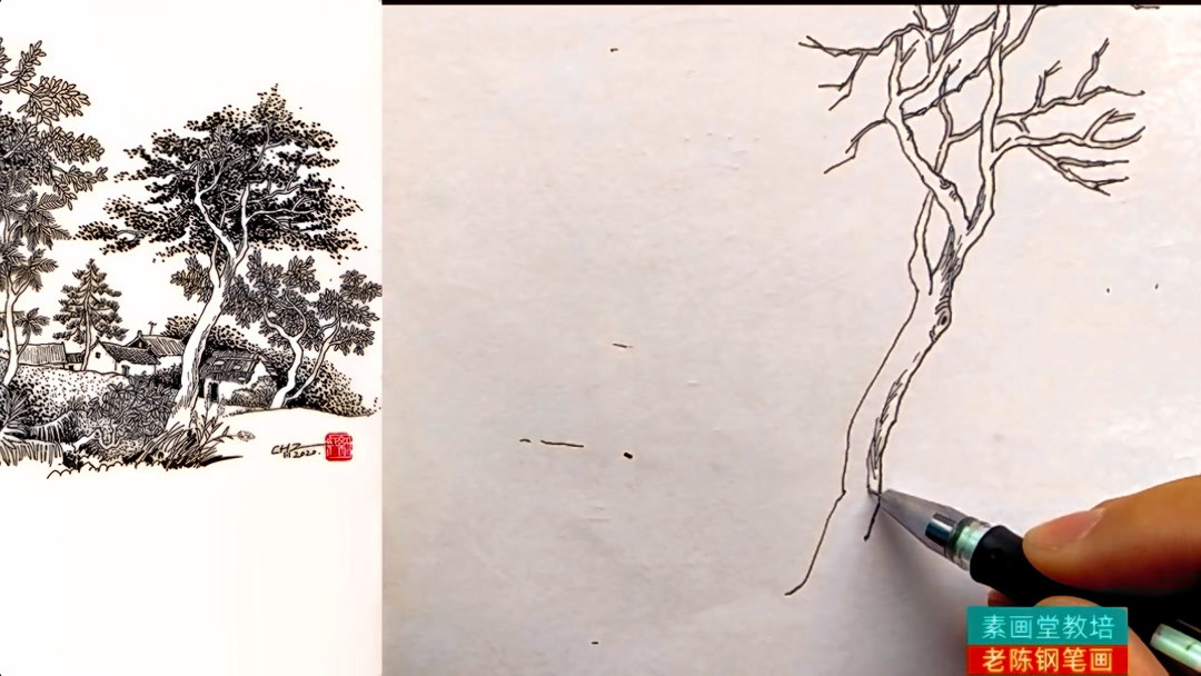 如何自学钢笔画风景速写:树枝与树干的画法