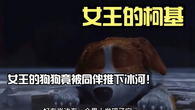 柯基狗狗版“甄嬛传”,为了争宠把同伴推下冰河!