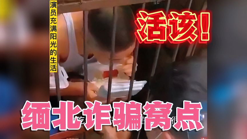 被骗缅北的下场,被剁手被关狗笼!警惕五花八门的电信诈骗!