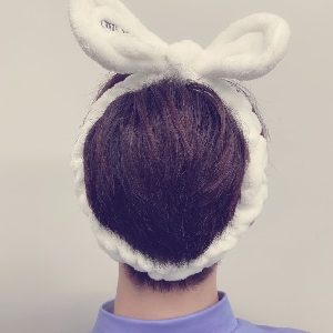 十二只小螃蟹丶 