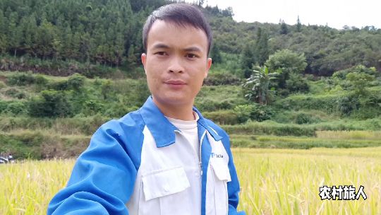 三人手工割稻谷,用上午时间收了十袋稻子,这是怎么做到呢?