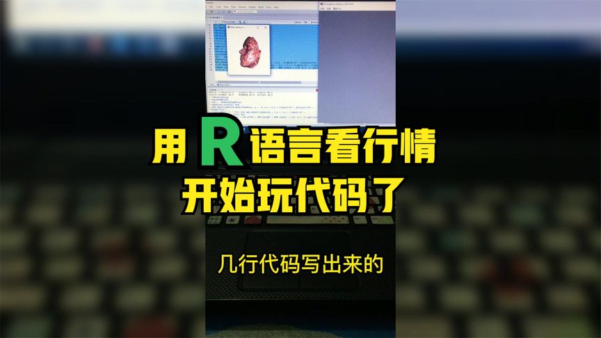 网约车跑亏了,现在来玩代码,从C语言到R语言看数据分析盯行情