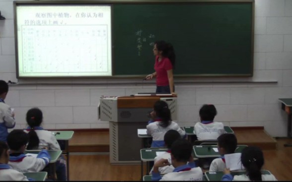 《种类繁多的动物》公开课 优质课【特级教师 新课标】