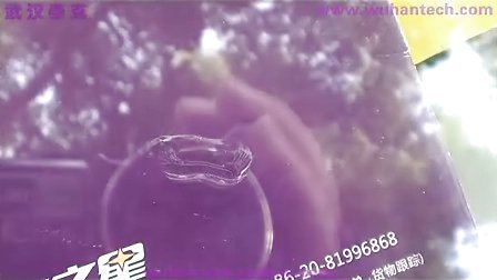 汽车玻璃划痕修复 划痕修复液 武汉泰克汽车玻璃修复