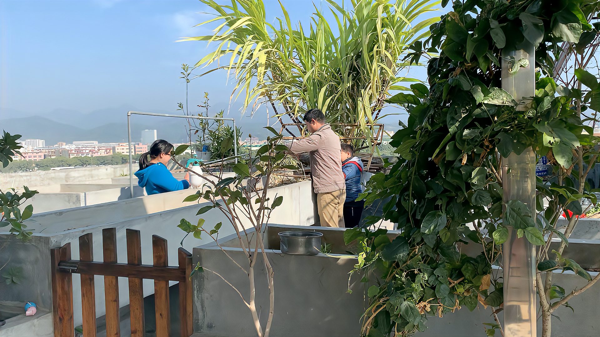 带着儿子扎稻草人