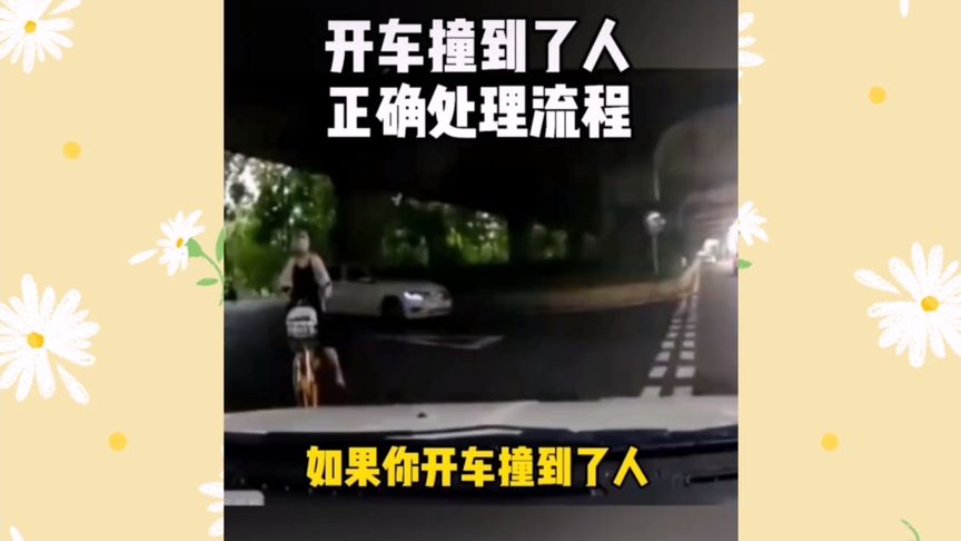 假如开车撞到人了,正确的处理流程,老司机教你!关注加收藏