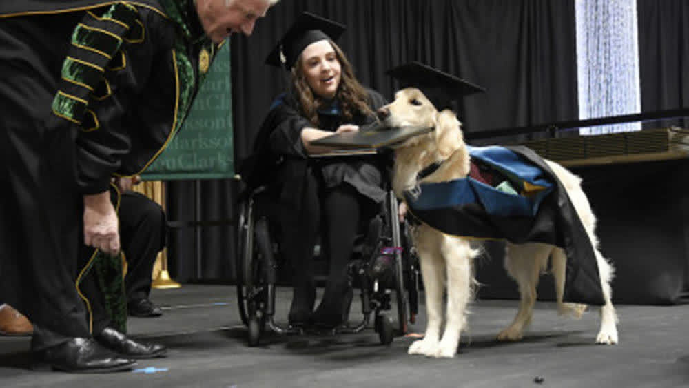 见过学历比人还高的狗吗?它被授予硕士学位,网友:活...