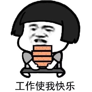 考研逻辑写作佳分宝库 