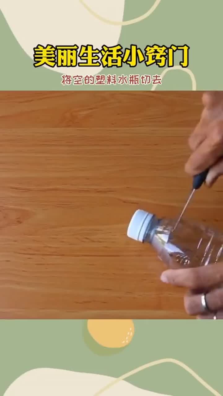 家族种植蒜苗的简单方法