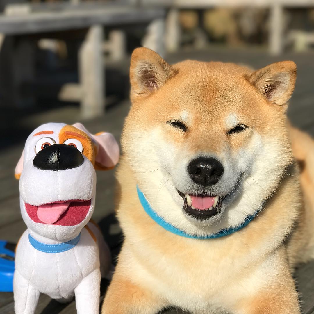 麻溜溜教你小技巧 