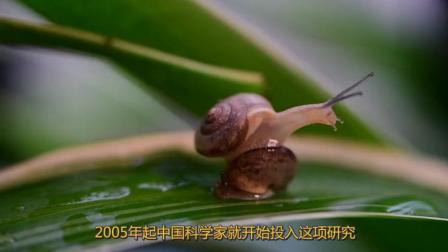 困扰人类多年的白色污染问题, 终于找到突破了! 这些小虫居功至伟!