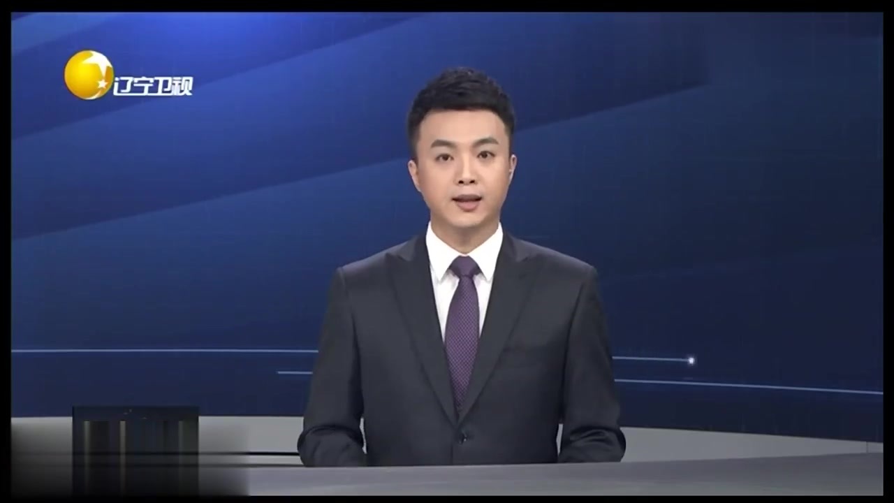 辽宁省全力推进安全生产专项整治三年行动