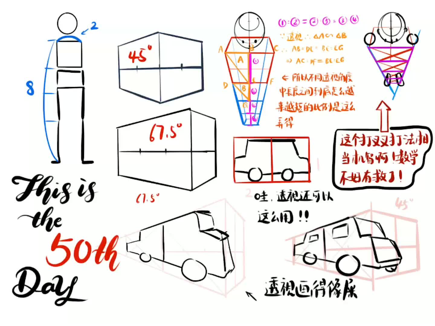 【绘画】手残党零基础自学练画人体结构练习第五十天-透视3