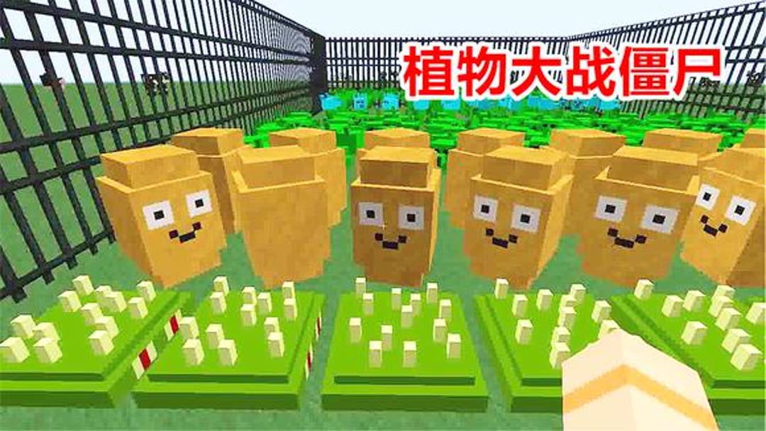 我的世界版:植物大战僵尸mod,豌豆射手攻击力很强!