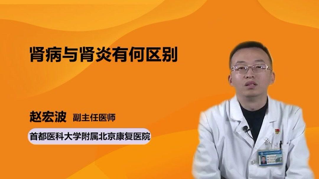 肾病与肾炎有何区别