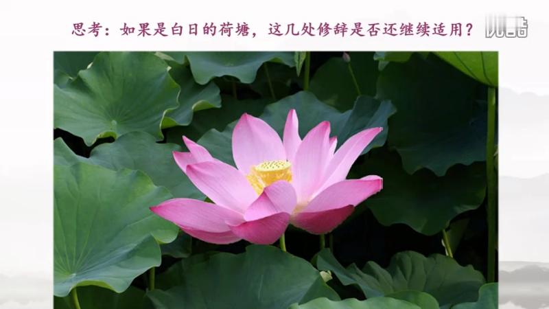 2016年湖南省第二届微课大赛三等奖——荷塘月色赏析(胡晓芳)
