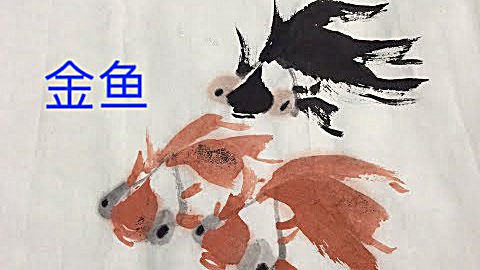 中国画教学花鸟篇 金鱼的画法