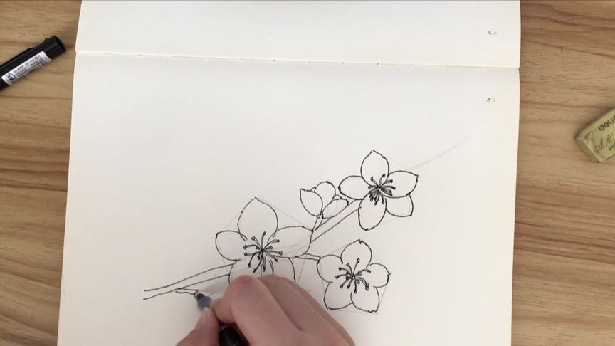 零基础学画画,第一课画桃花