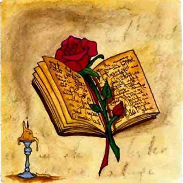 i学习小新星的林超人 