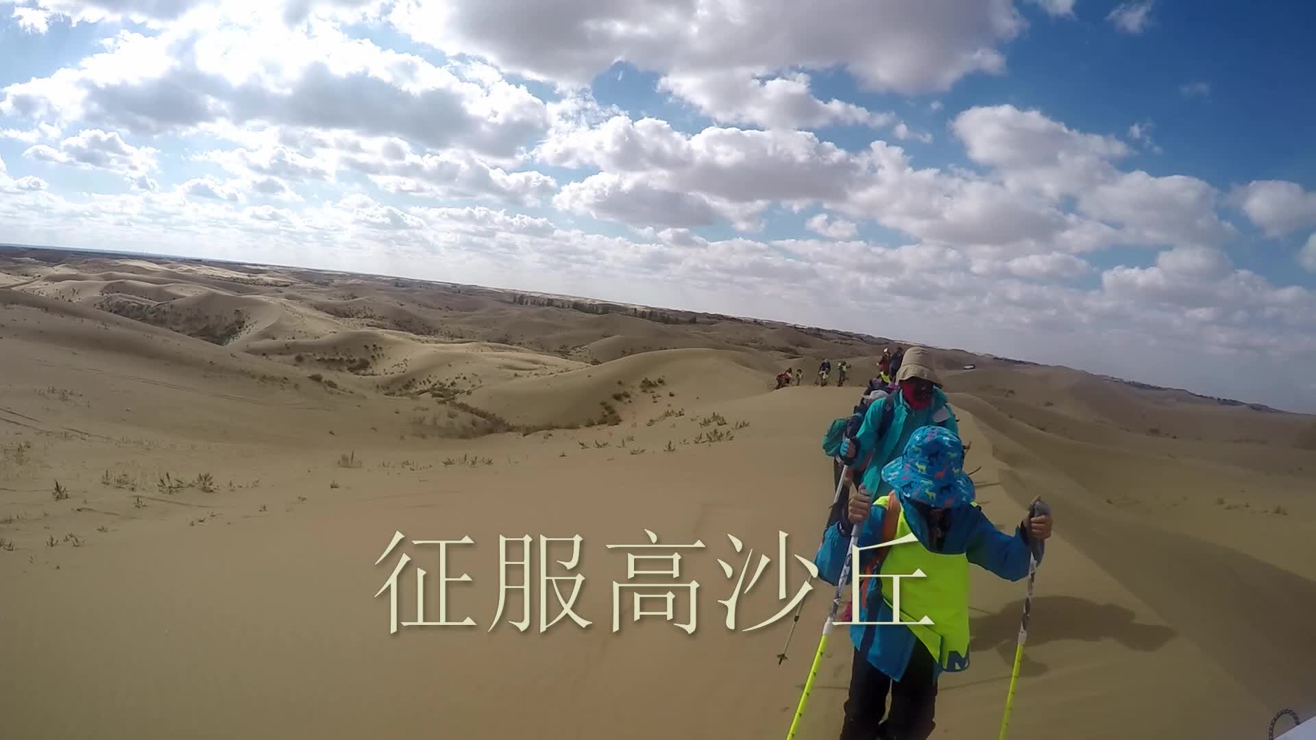 第16期·亲子猫沙漠研学旅行