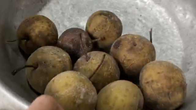 东北天然"土冰箱",鲜梨一夜变冻梨