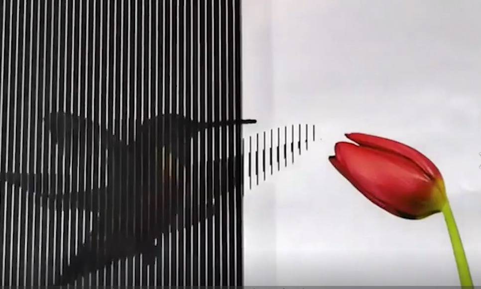 3个神奇的视错觉设计,看完你还相信自己的眼睛吗?