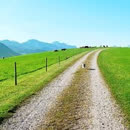 超爱游泳的公伯 