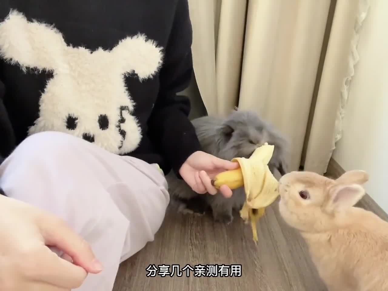 最主要的早期症状就是嘴硬滴露消毒液滴露酒精消毒喷雾阳了