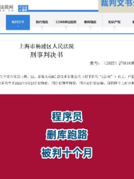 上海一#程序员程序员因"删库跑路"被#判刑 10个月!