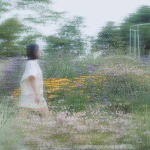 杨紫雯的景观部落 