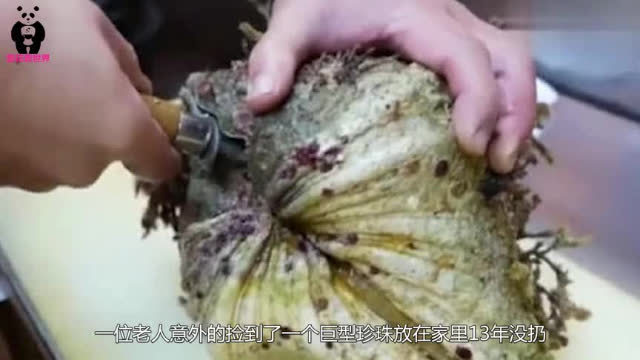 老人意外捡到巨型"珍珠蚌",放家里13年没扔