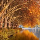 一点也不好！！ 