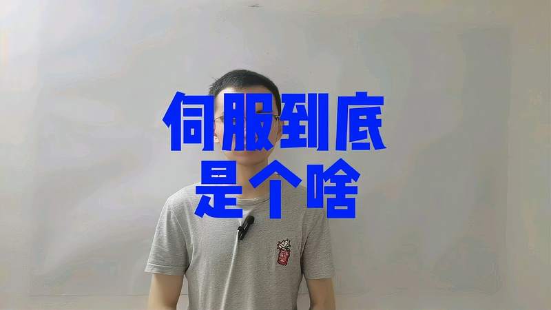伺服到底是个啥东东?