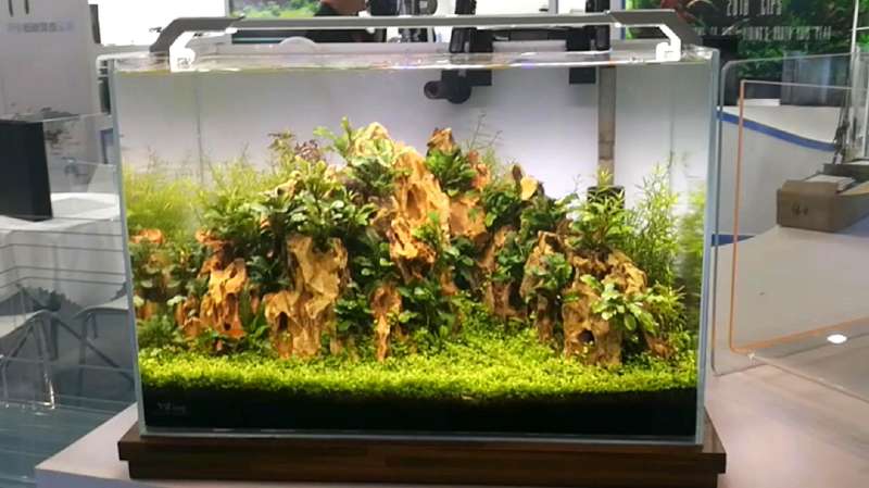 草缸造景,松皮石开缸,看到壁挂滤筒那一刻,建议新手学一下