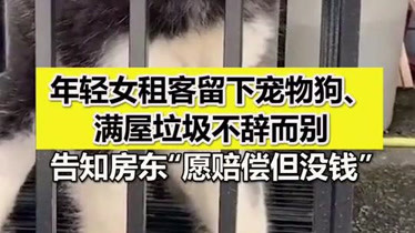 租客留下宠物狗、满屋垃圾“失联”,被房东发现后称:愿赔但没钱