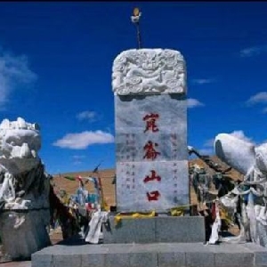 青藏元宝 
