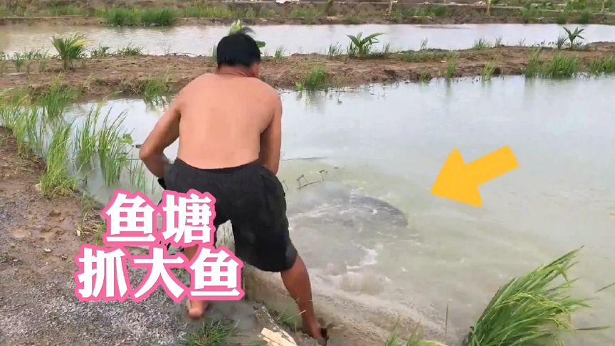 自家鱼塘出现不明生物,农村小伙网住巨型怪物,他却直呼亏大了