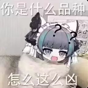 我小海没有开挂 