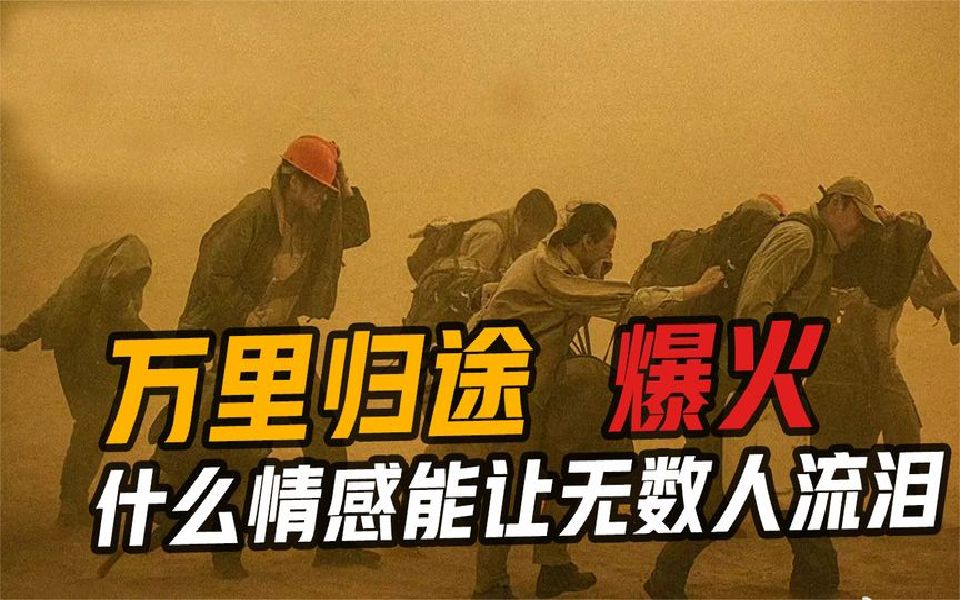 国庆档黑马《万里归途》还原撤侨真实事件,现实远比想象更艰难!