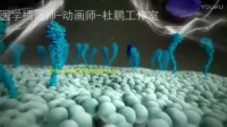 科学医学3D动画-病毒攻击细胞的动画制作分解
