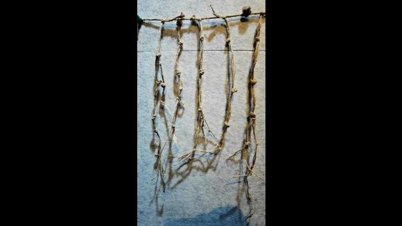 趣说“结绳记事”