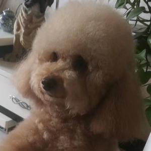 快乐霞姐放映厅