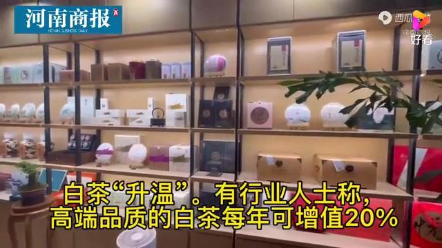 白茶"升温"?茶青价格大涨40%!郑州有商户:店里白茶销售占比已翻倍