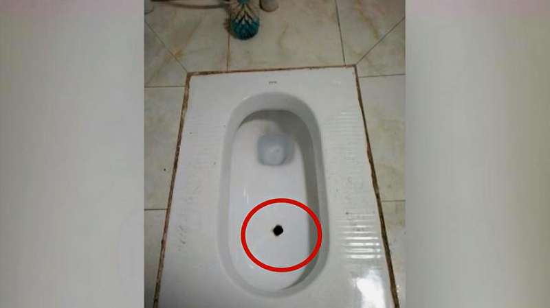 为什么有的酒店蹲便器上会有一个小孔?今天可算知道了