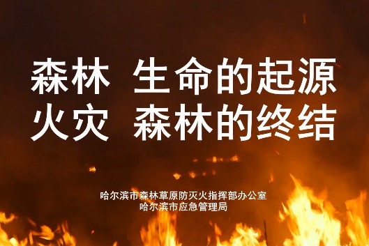 2021森林防火公益广告