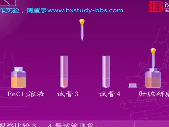 高中化学实验视频《比较过氧化氢在不同条件下的分解》