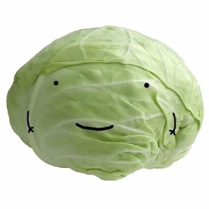 叽里咕噜呱啦哈哈 