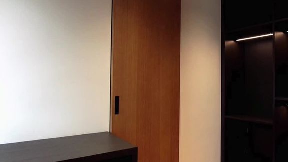 手动推拉门and电动推拉门你pk哪一个#推拉门 #全屋定制 #内门